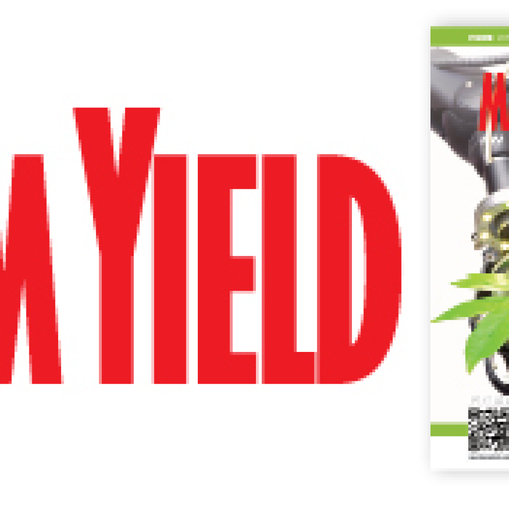 maximum-yield - Chrysalis Capital